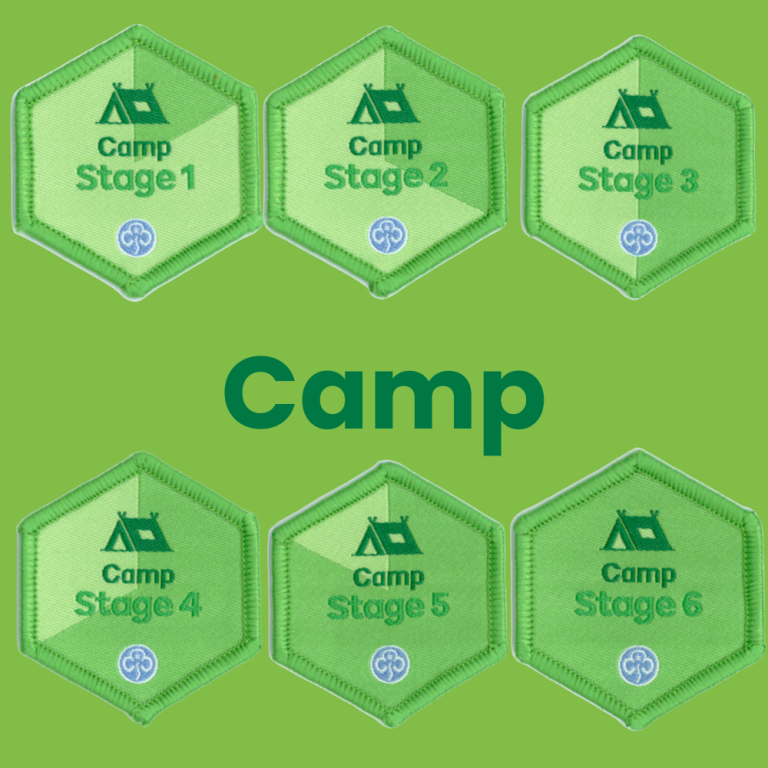 GUIDE THEME AWARD BADGES - Girlguiding Anglia