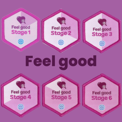 Rainbow badges-LEADER ONLY - Girlguiding Anglia