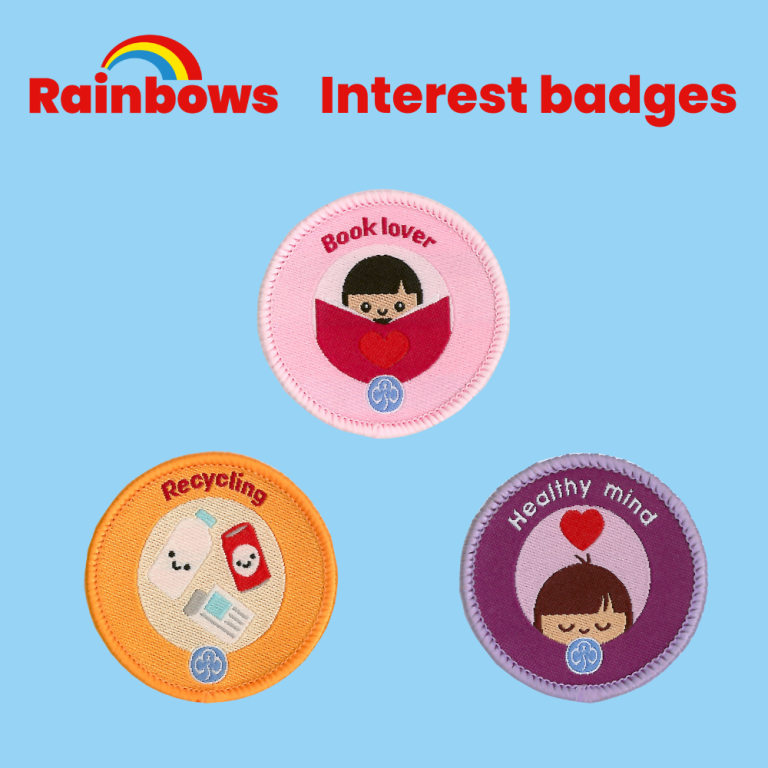 Metal emblems badges - Girlguiding Anglia