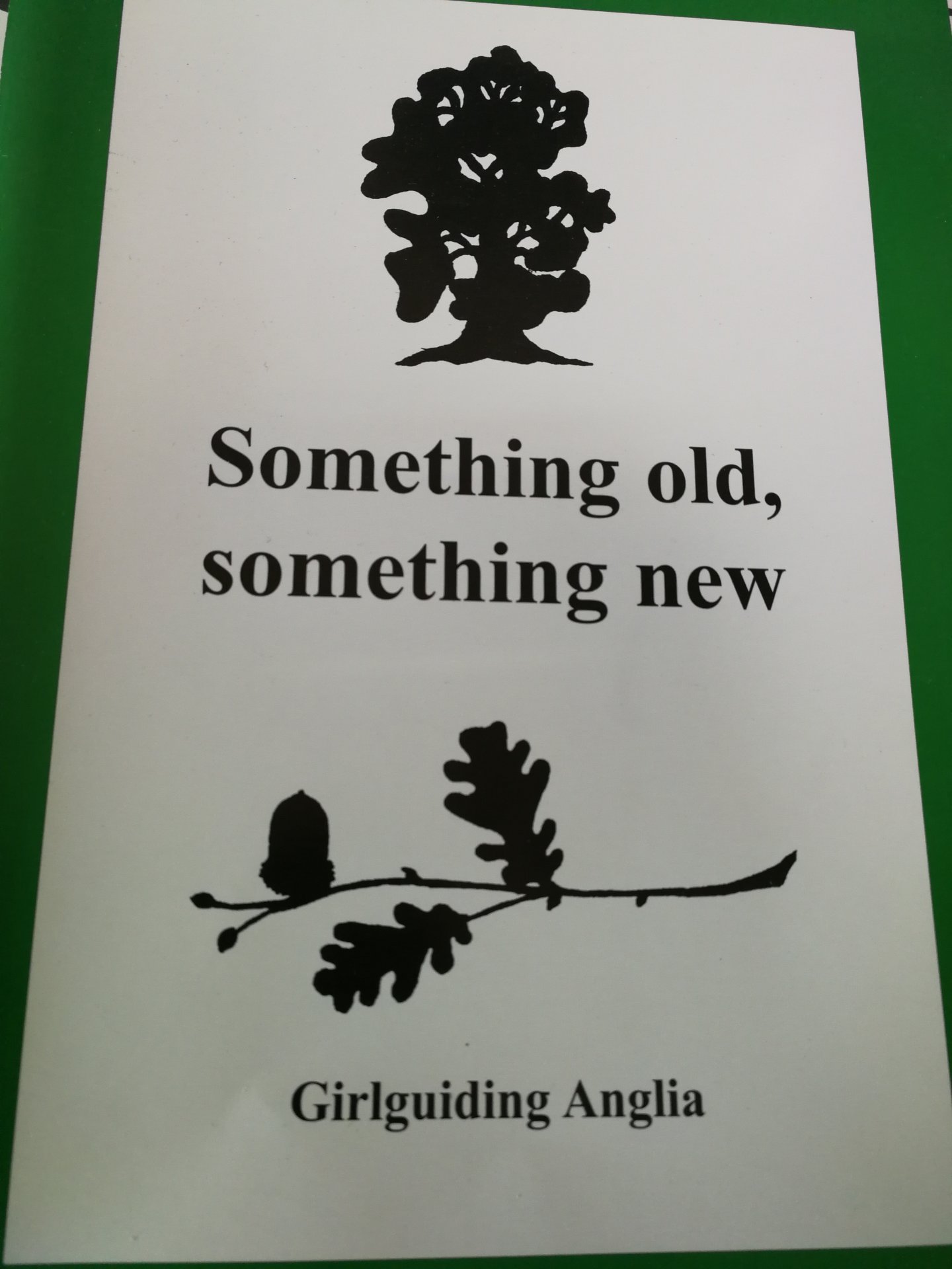 Something old something new A5 book - Girlguiding Anglia