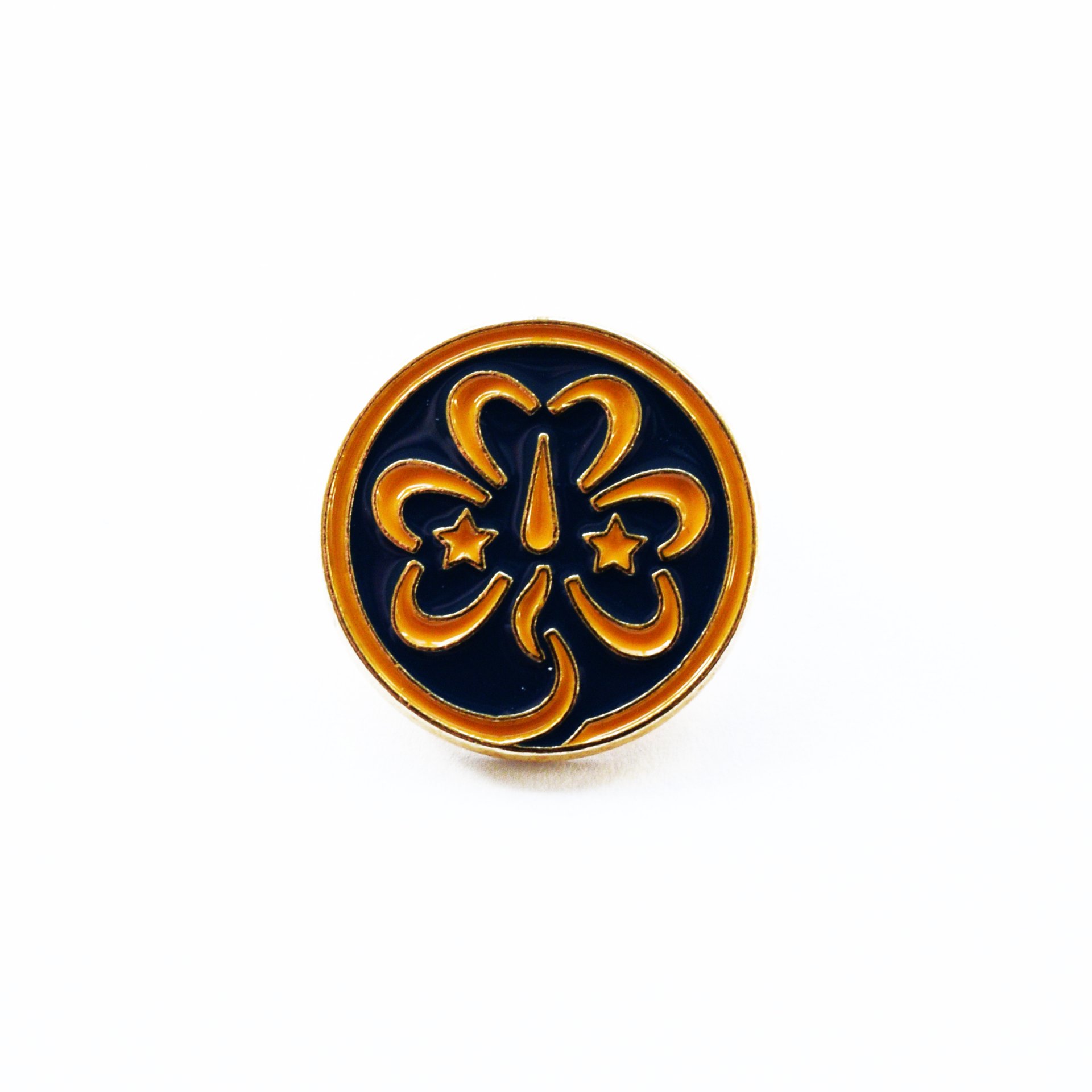 LEADER LONG SERVICE WOVEN BADGES - Girlguiding Anglia