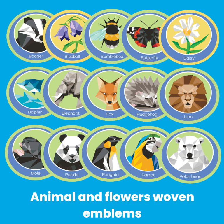 Rainbow Badges-LEADER ONLY - Girlguiding Anglia