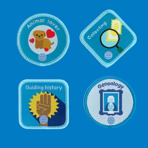 Leader only badges - Girlguiding Anglia