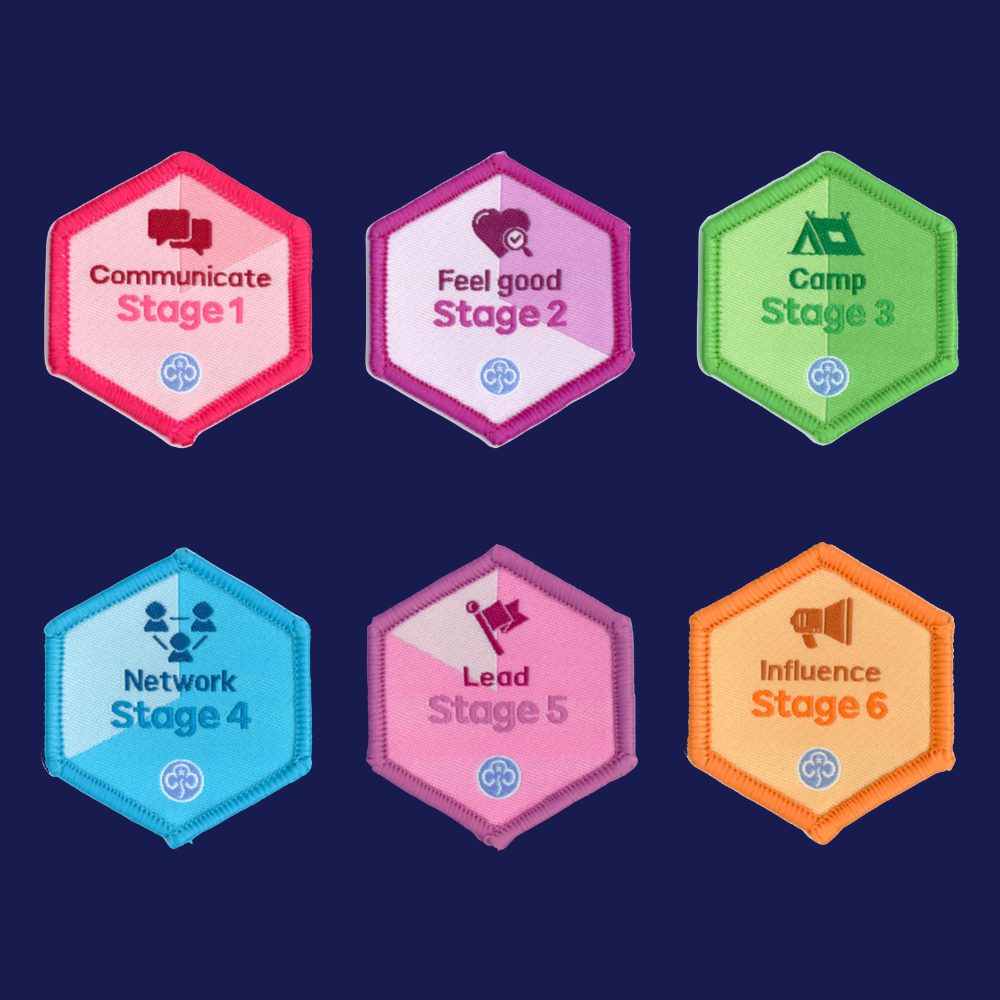 Leader Only Badges - Girlguiding Anglia