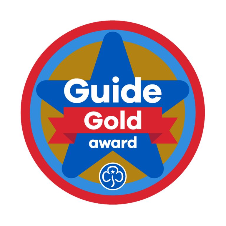 Guide badges- LEADER ONLY - Girlguiding Anglia