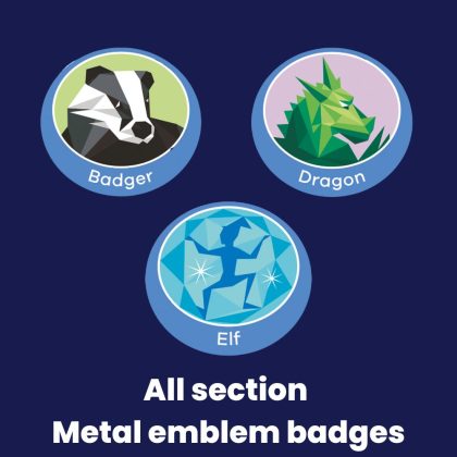 Metal emblems badges - Girlguiding Anglia