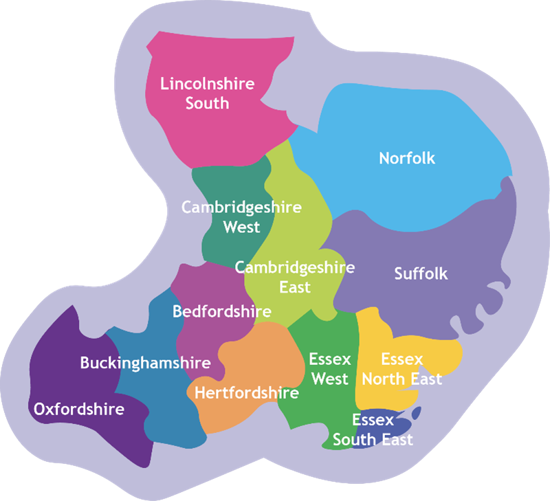 Anglia growth and insight - Girlguiding Anglia